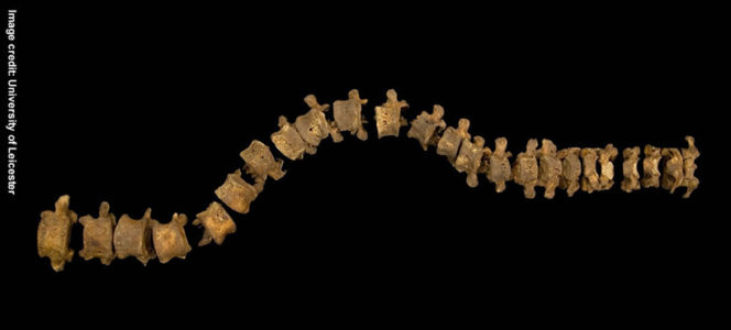 Richard III Society American Branch - Meet King Richard